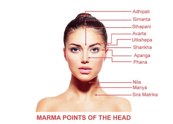 Marma Massage Course » Ayurdhama Ayurveda Hospital